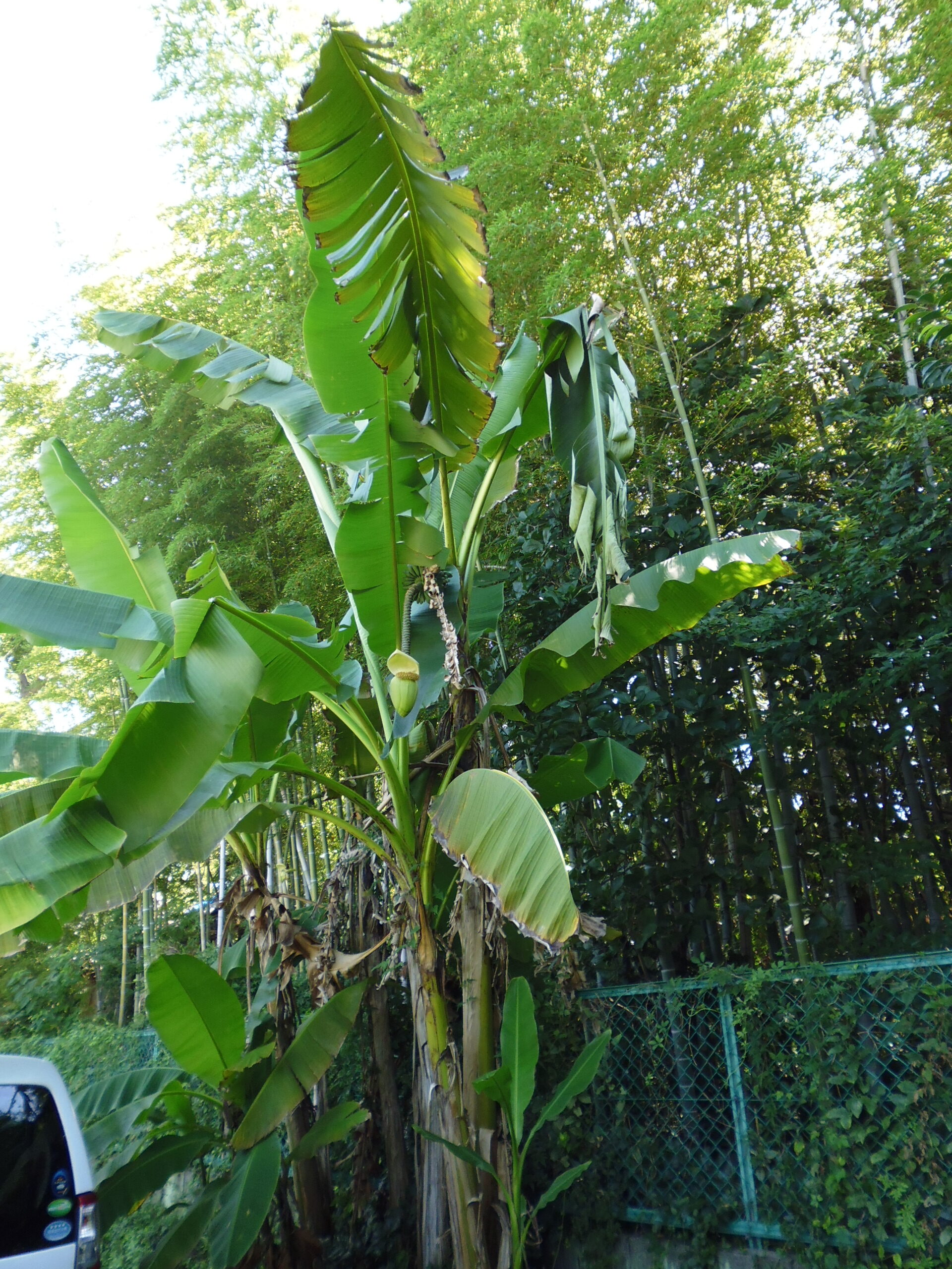 VOL.5 富士産業有限会社様 | KanFA SDGs推進室